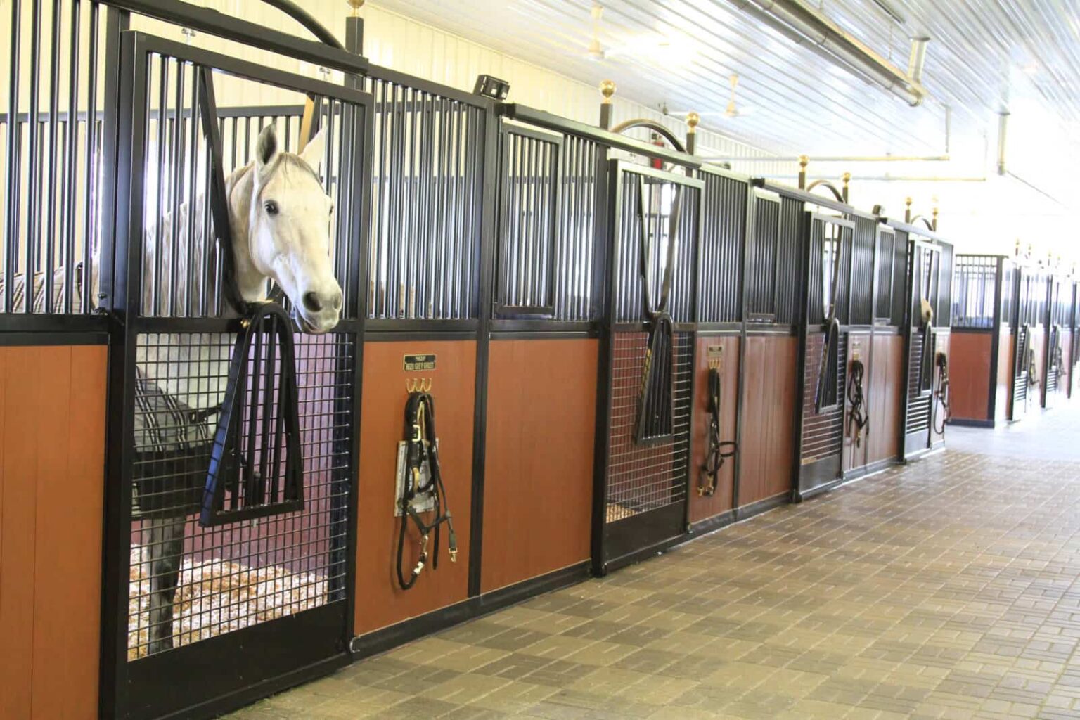 About - ThorSport Farm